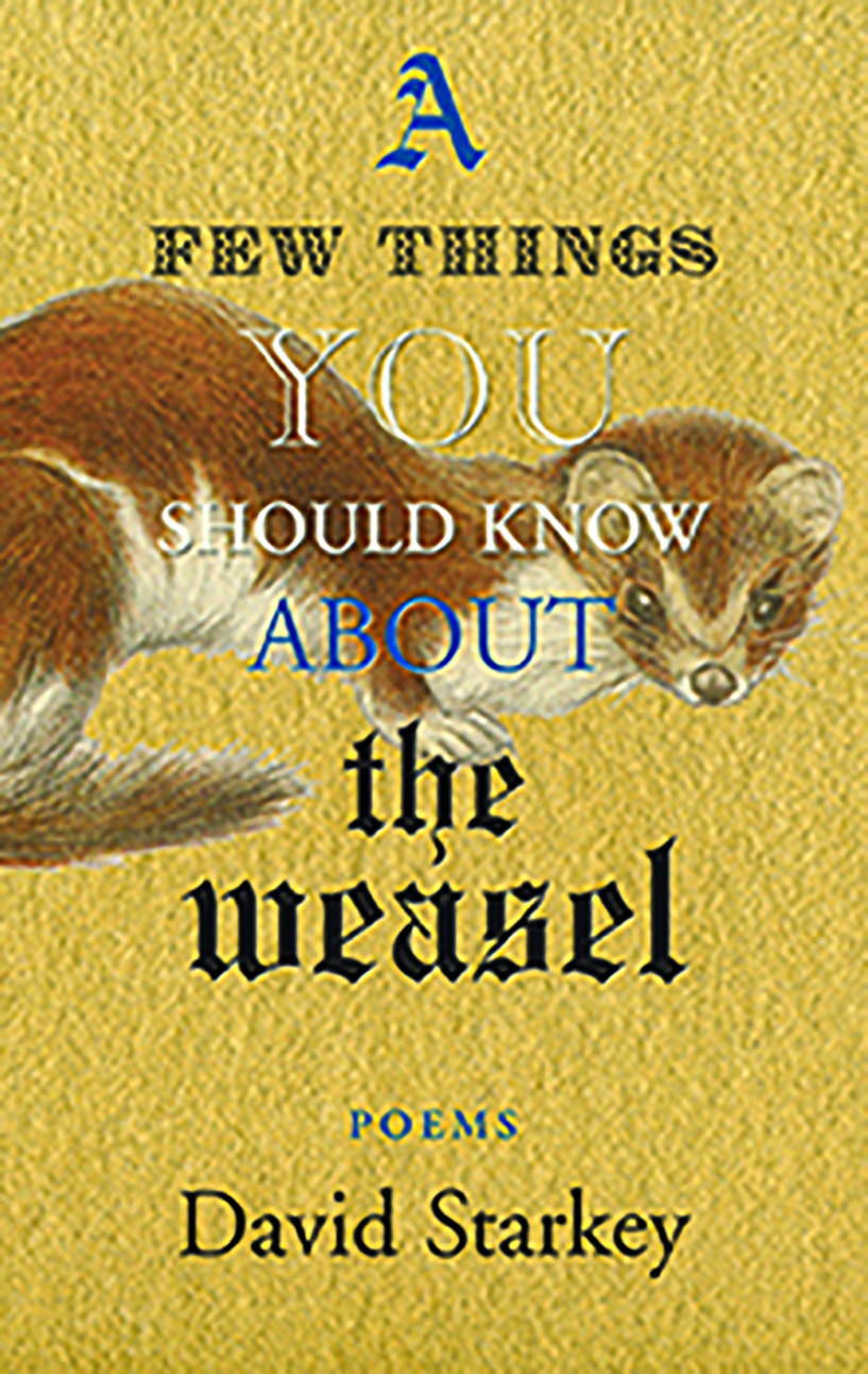 A Few Things You Should Know About the Weasel - Biblioasis
