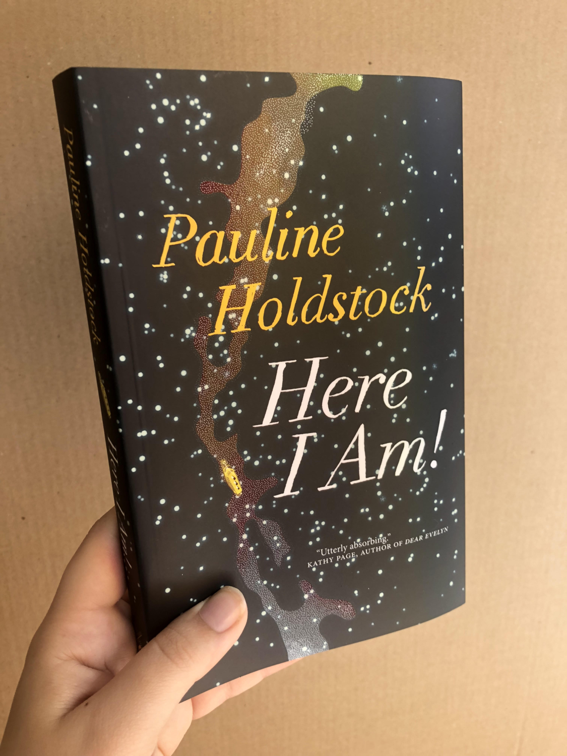 Happy Canadian Pub Date to Here I Am! by Pauline Holdstock - Biblioasis
